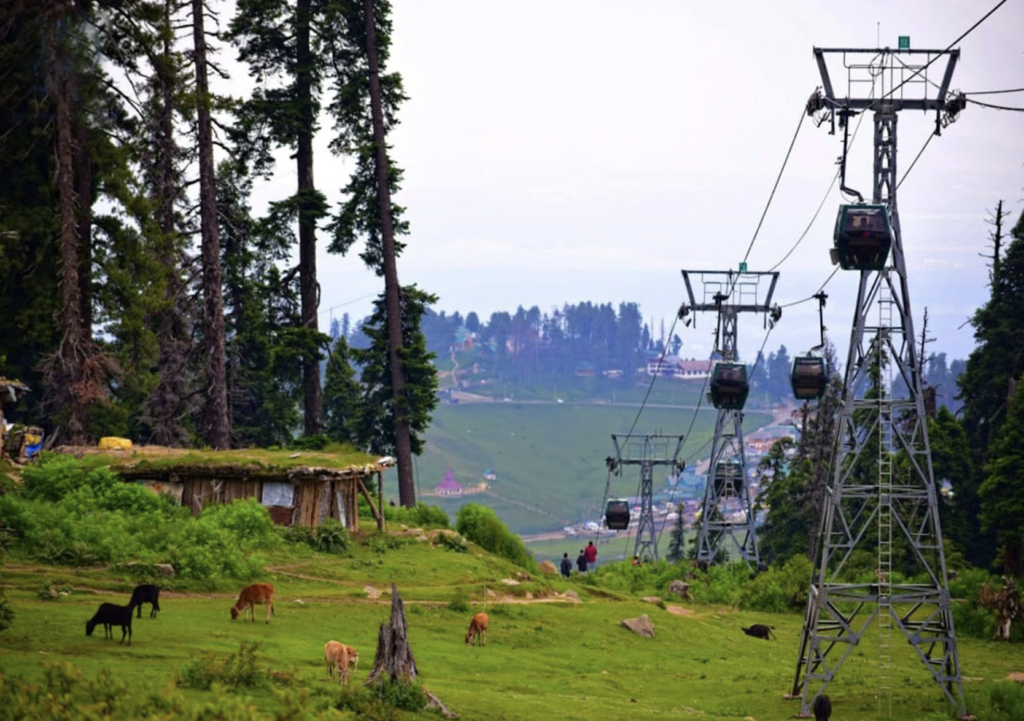Gulmarg Summer: Hidden Magic That Will Surprise You Because...